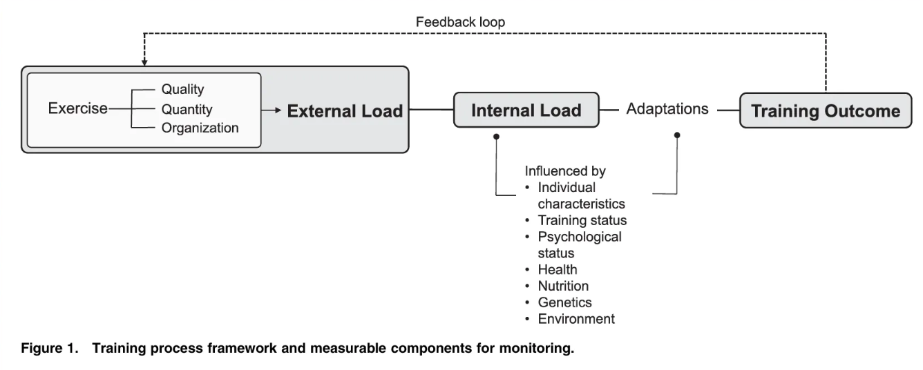 The Coach’s Guide to Training Load and Injury Prevention