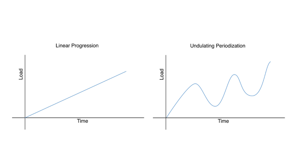 Linear vs. Undulating Periodization for Muscle Strength and Hypertrophy