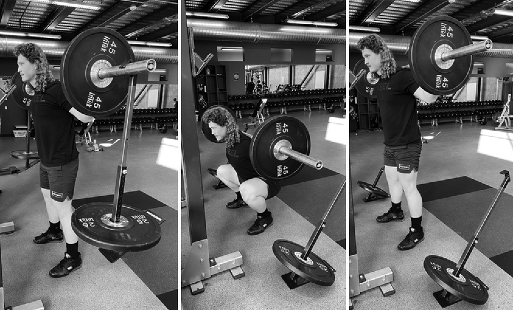 Eccentric Overload vs. Traditional Training: Is AEL Any Better?