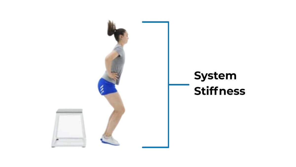 Understanding Stiffness: Movement vs Tendon
