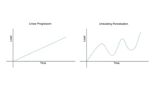 Linear vs. Undulating Periodization for Muscle Strength and Hypertrophy