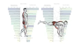 The 8 CMJ Force-Time Curves