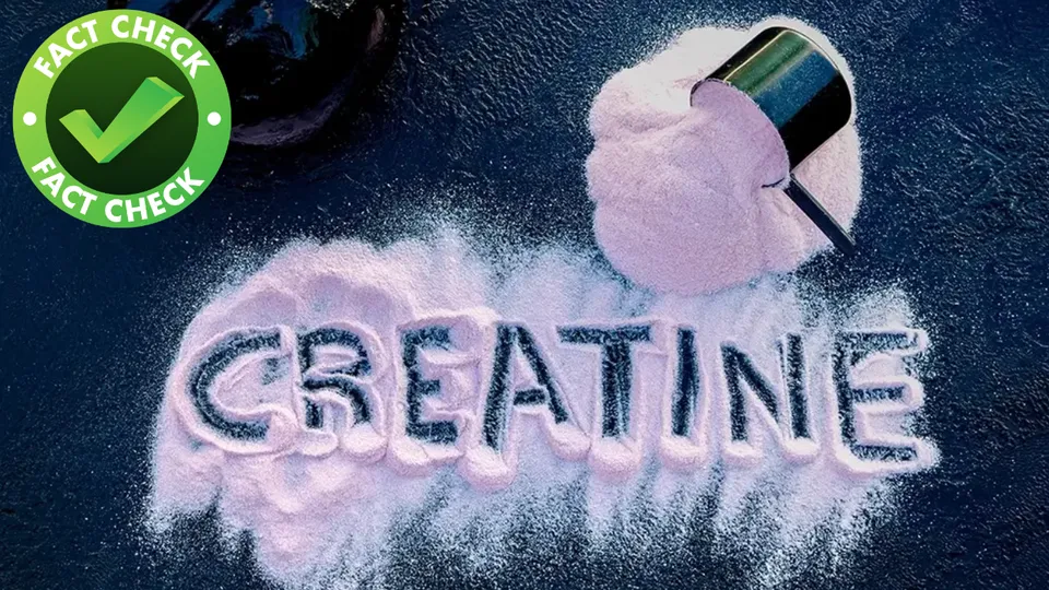 Creatine Myths Busted: What the Science Really Says